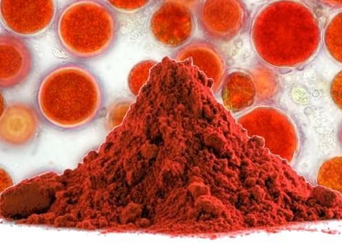 Analyse de caroténoïdes - Laboratoires SPIRAL